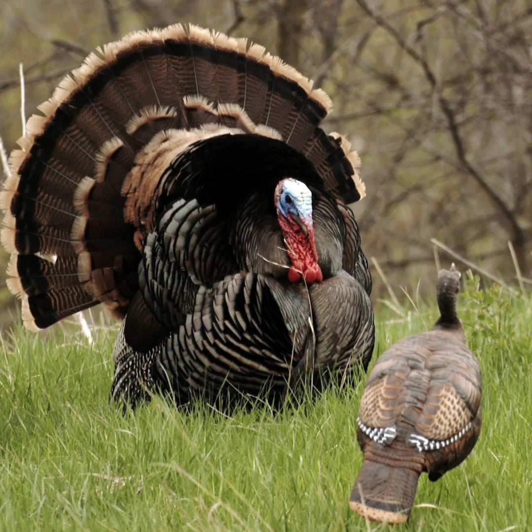 Be Ready for Spring Turkeys with Hunt Monkey – Fish Monkey Gloves