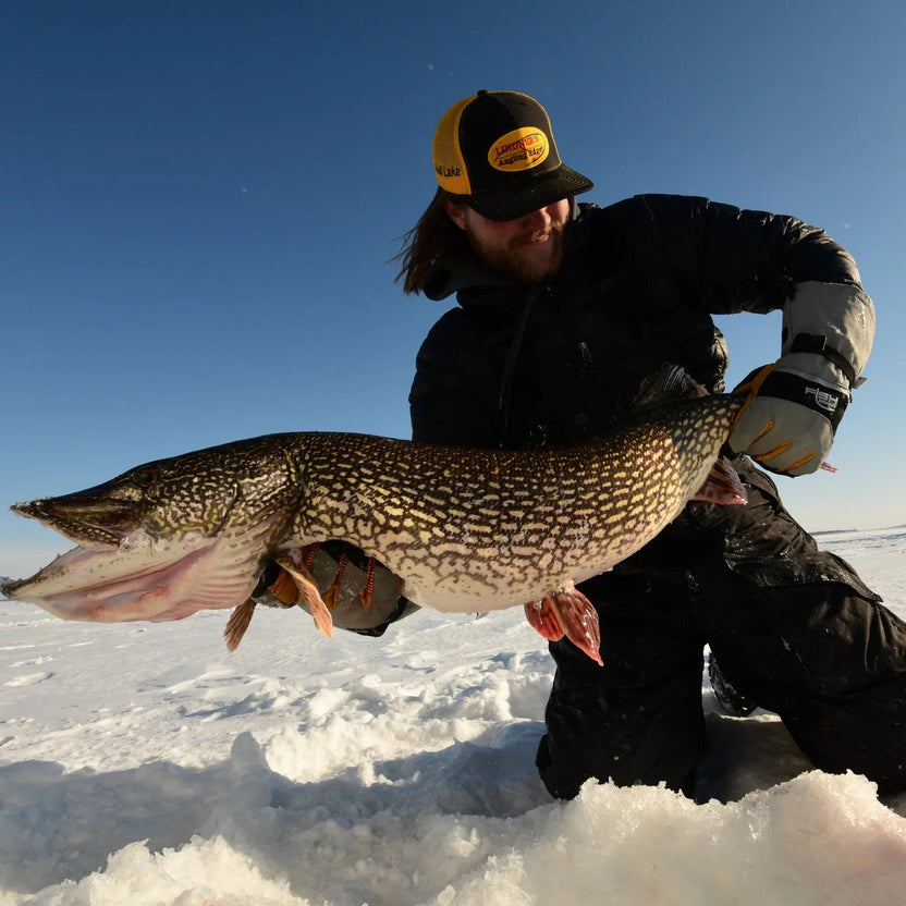 All Products – Fish Monkey Gloves