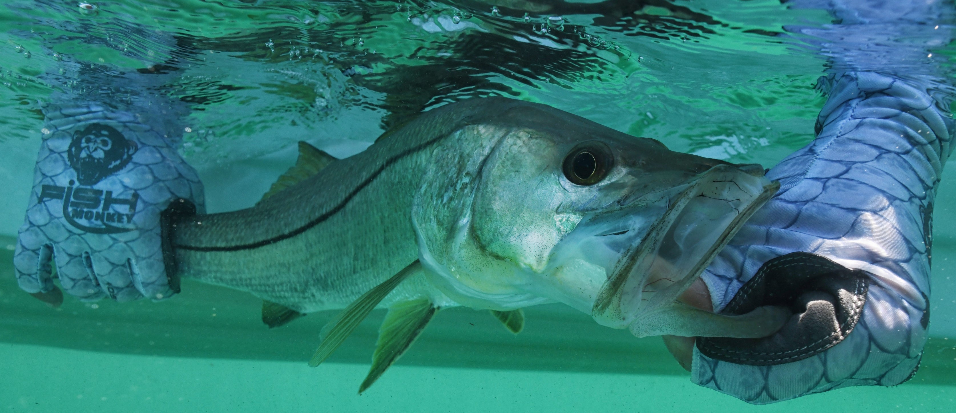 Gear Up for Whitetails with Hunt Monkey – Fish Monkey Gloves